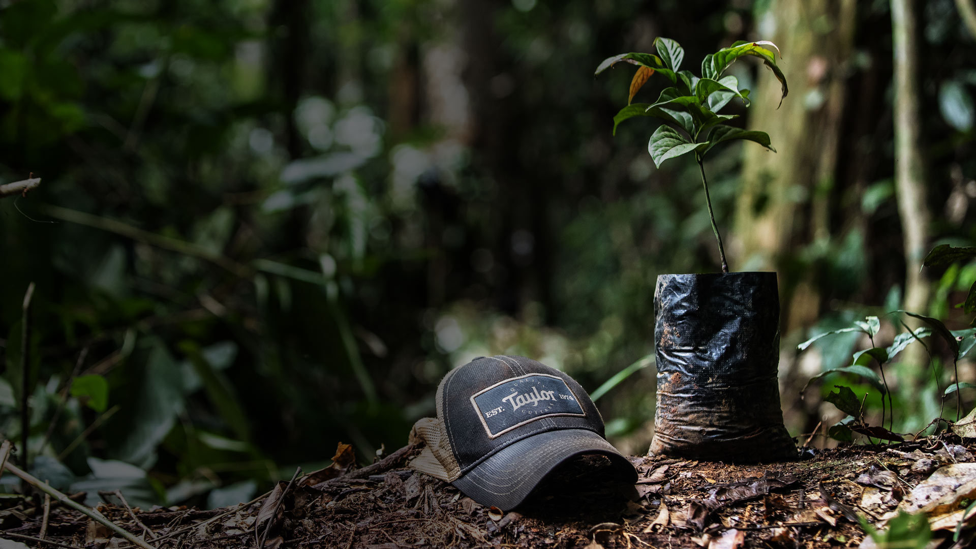 Overview - Taylor Sustainability Hub