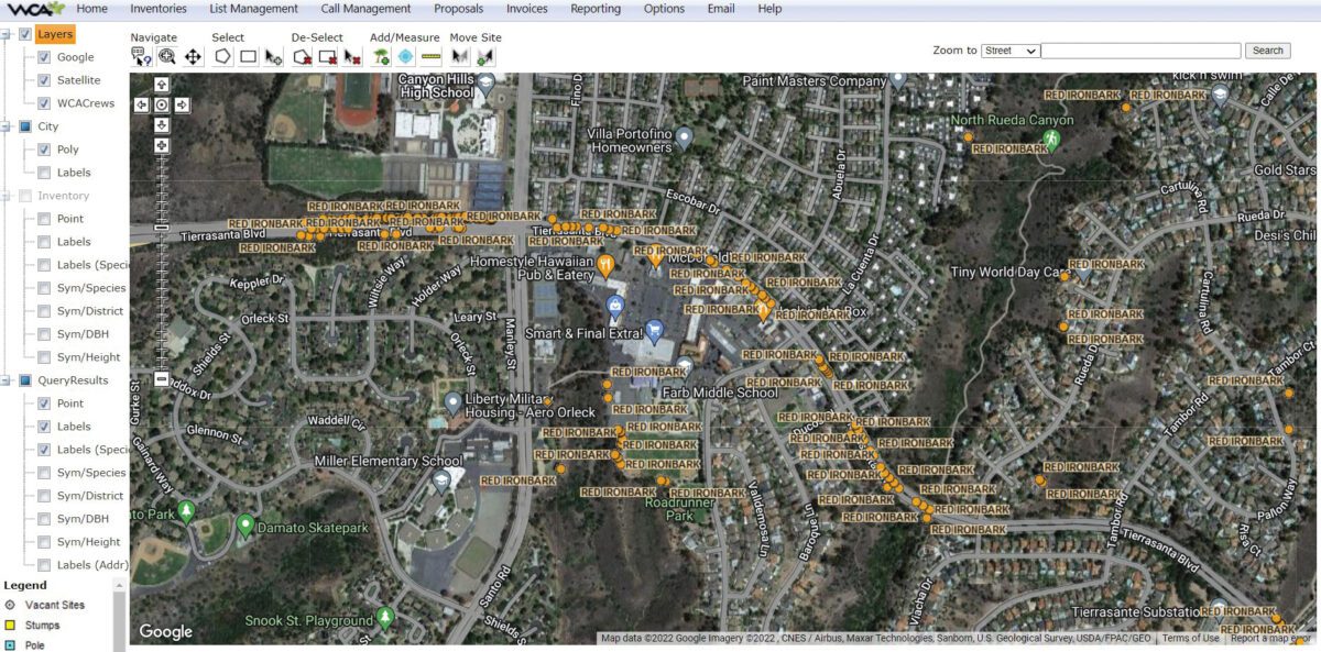 Urban Trees in California - Taylor Sustainability Hub