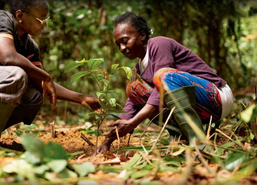 Overview - Taylor Sustainability Hub