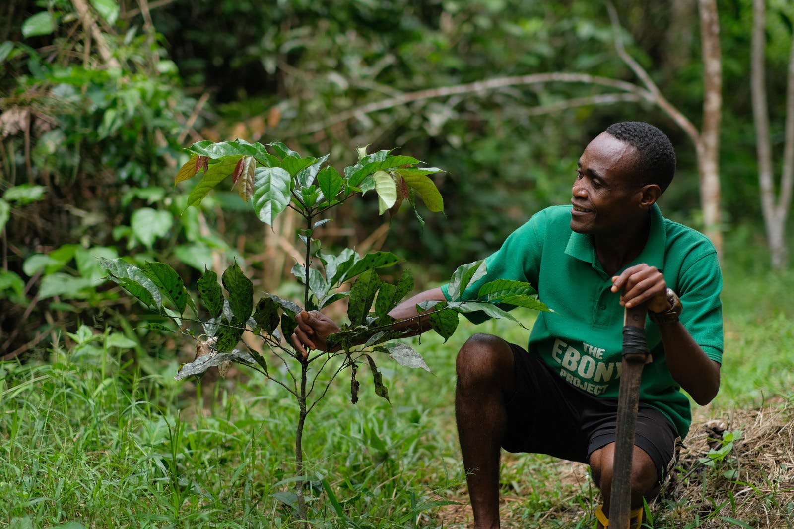 Overview - Taylor Sustainability Hub