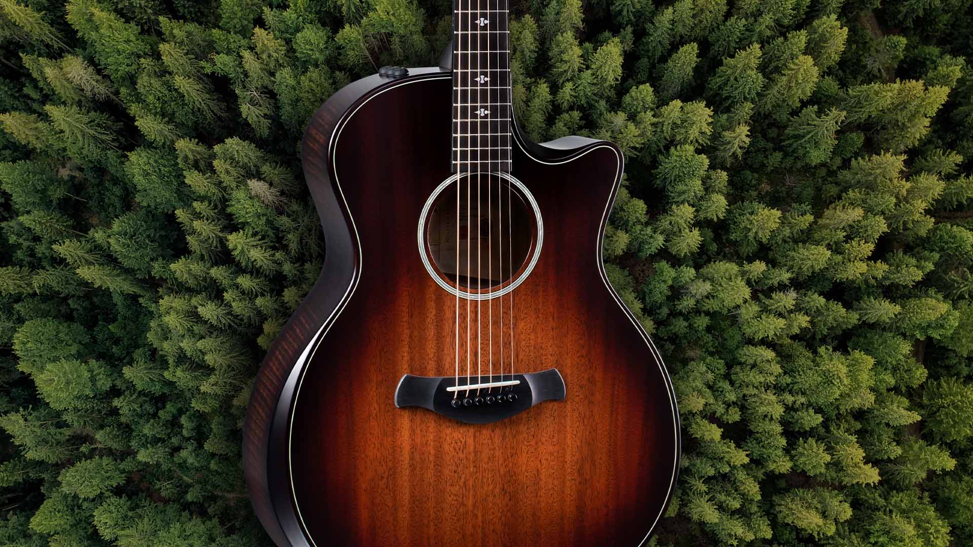 Urban Trees in California - Taylor Sustainability Hub