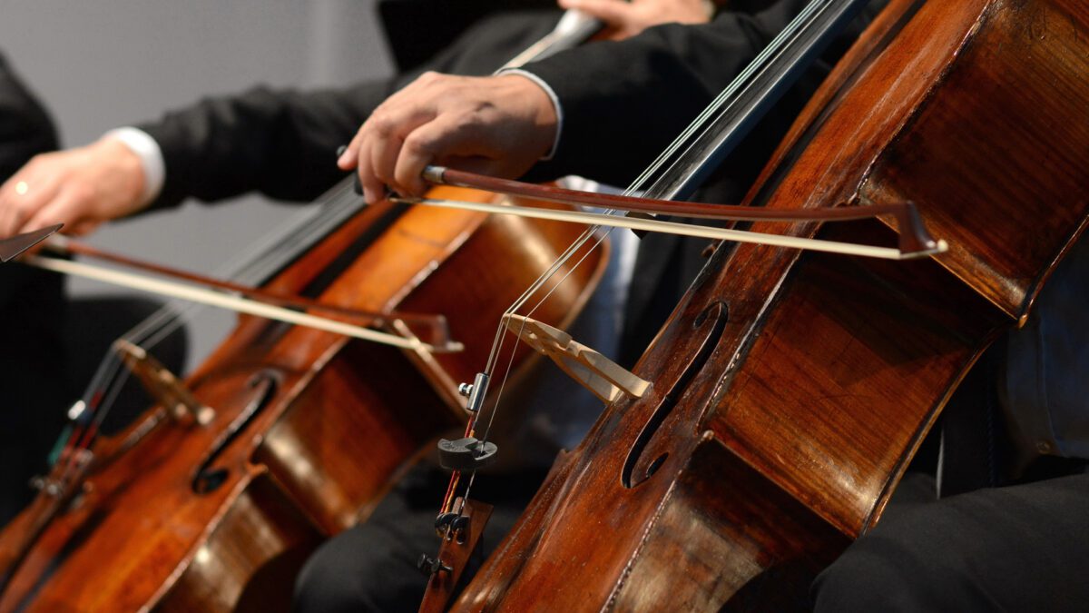 Urban Trees in California - Taylor Sustainability Hub